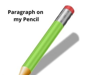 How To Keep Our Town Clean Paragraph In English